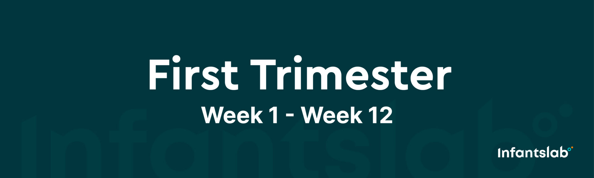 The Stages Of Pregnancy Development From Inception To Delivery - InfantsLab